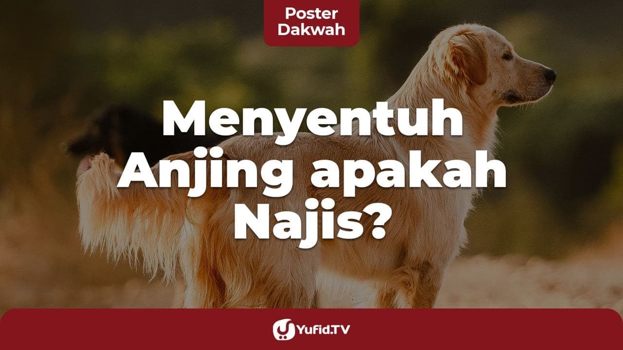 Cara Menghilangkan Najis Anjing dan Hukum Memelihara Anjing – Poster ...